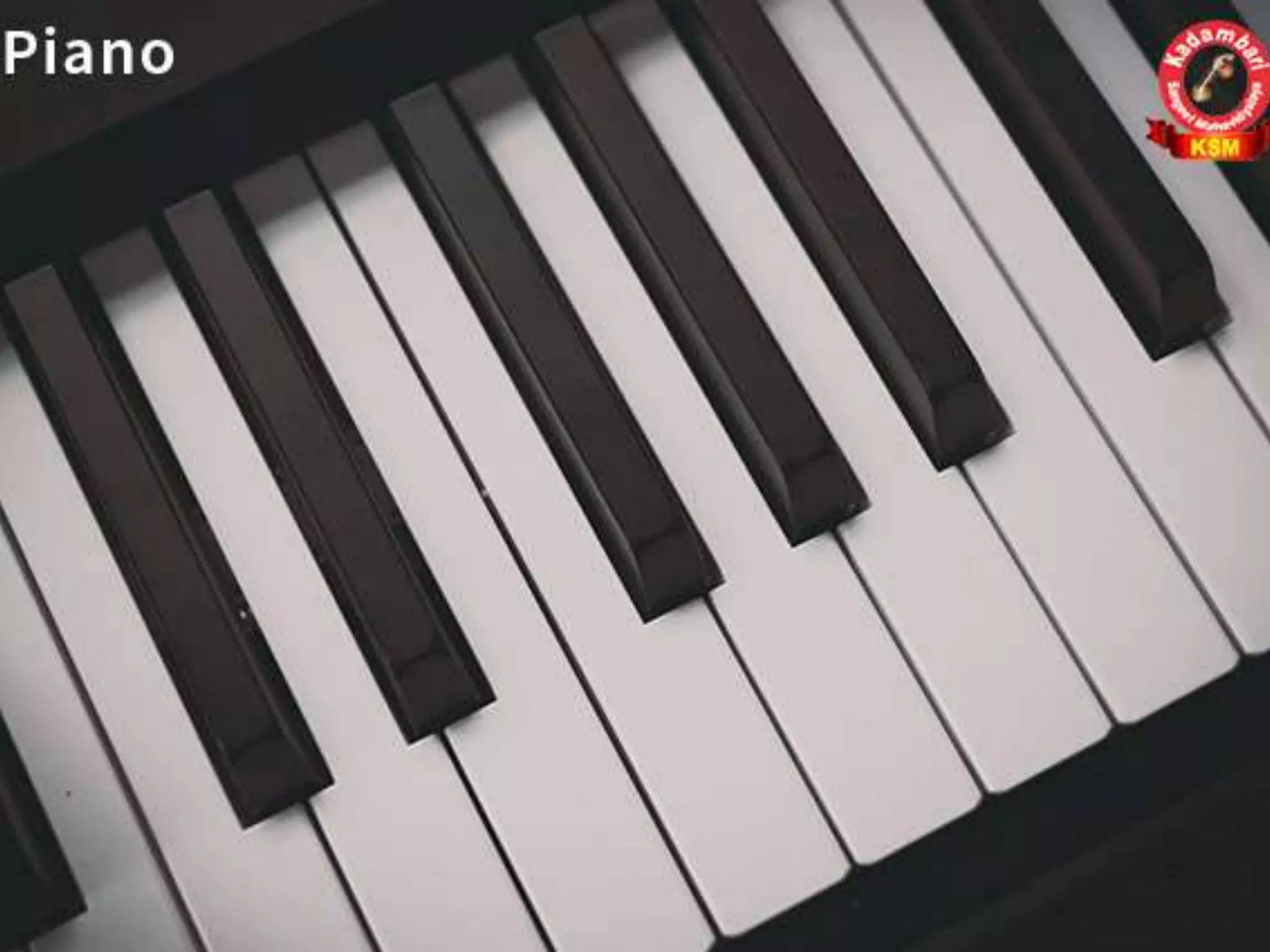 10 Best String Instruments | PPT