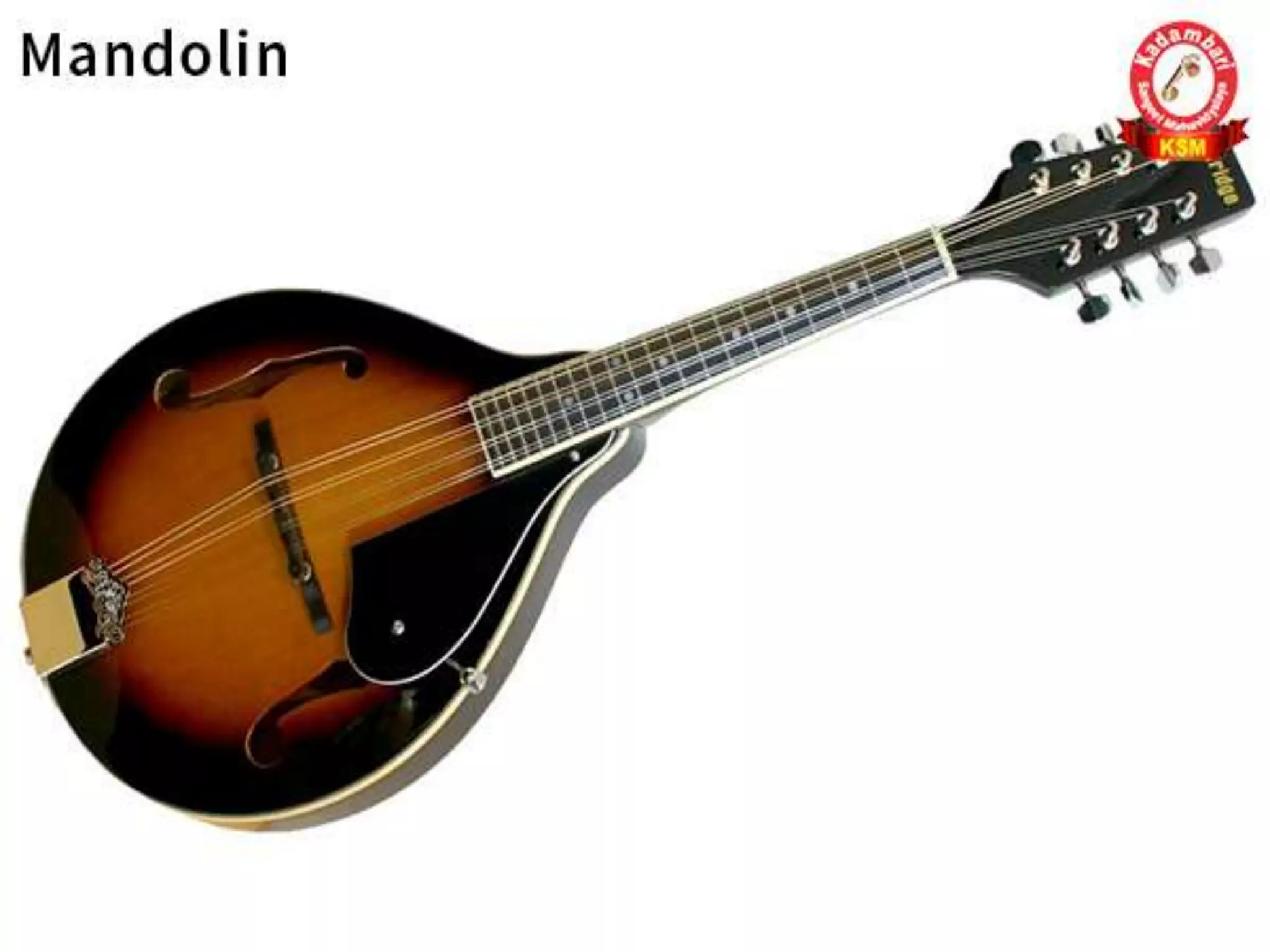 10 Best String Instruments | PPT
