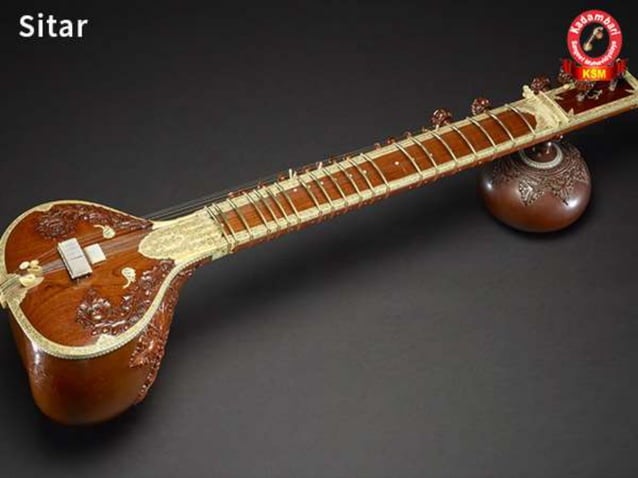 10 Best String Instruments | PPT