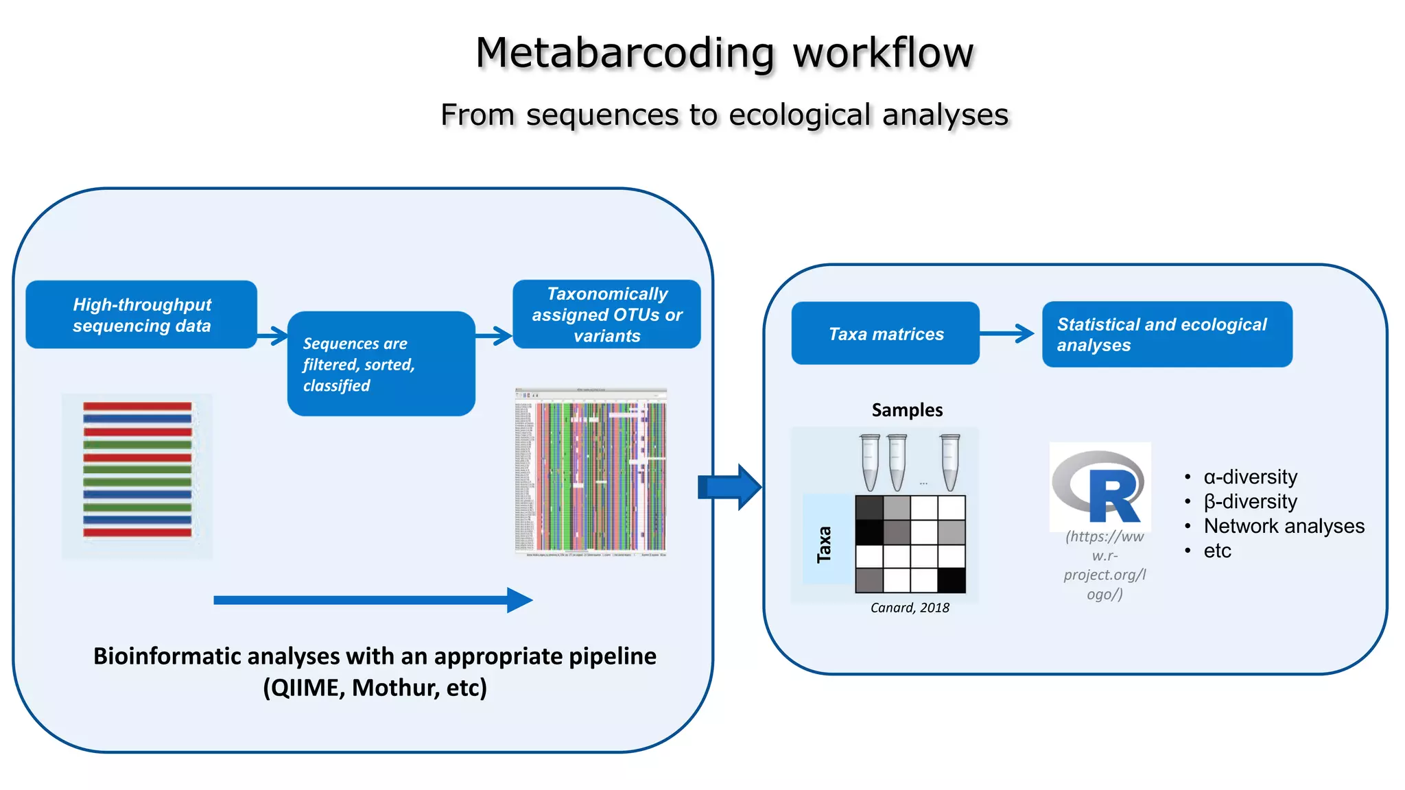 High-throughput sequencing data of microorganisms opens new perspectives for ecotoxicological ...