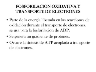 10 Cadena Respiratoria | PDF