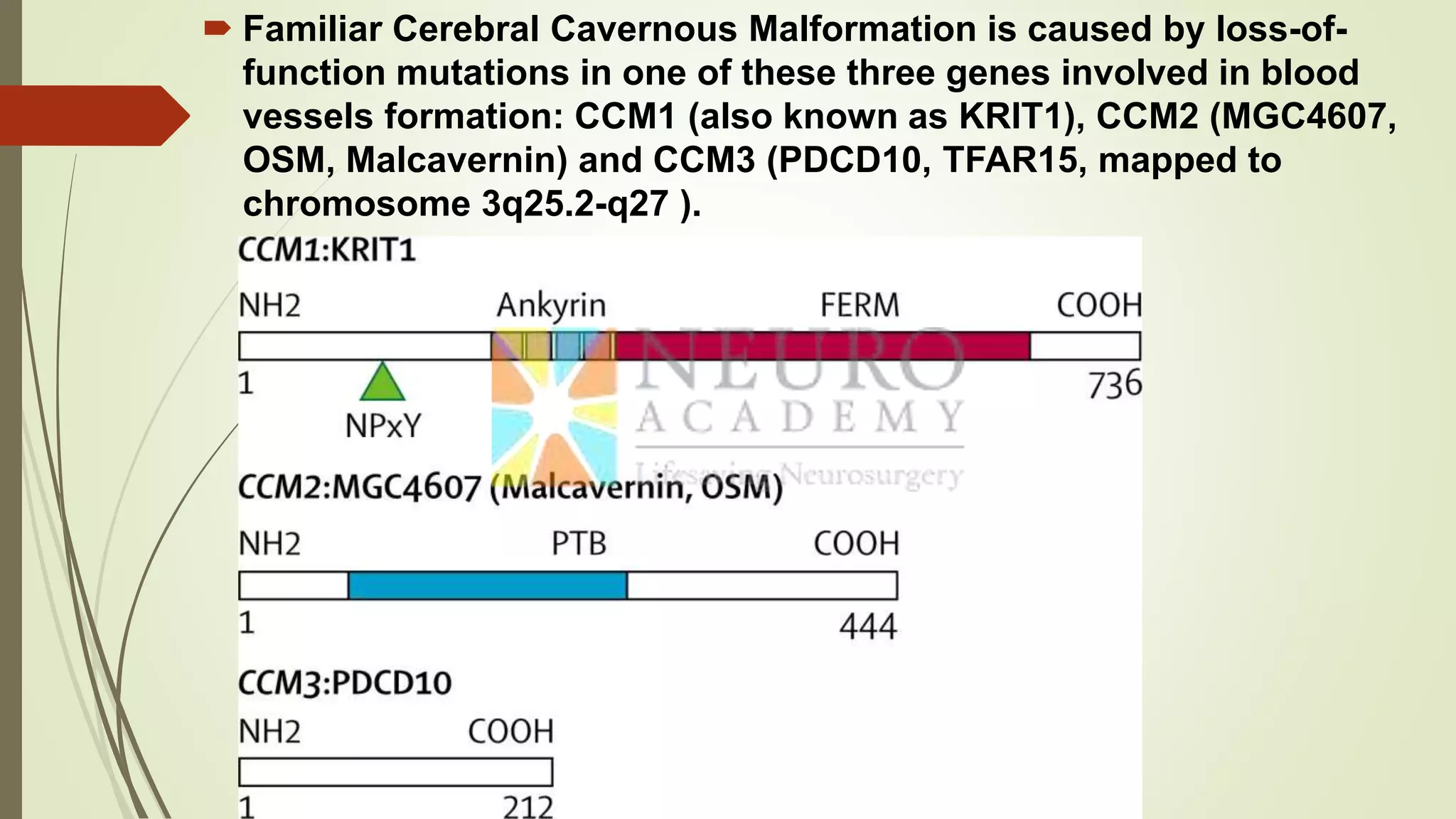 Molecular Pathogenesis of Cerebral Cavernous Malformations | PPTX