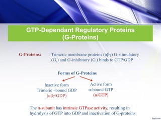10- Cell Signaling and Regulation of Metabolism (1).pdf