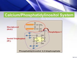 10- Cell Signaling and Regulation of Metabolism (1).pdf