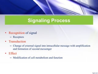 10- Cell Signaling and Regulation of Metabolism (1).pdf