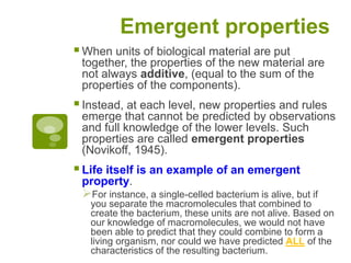 Cell Theory Exceptions & Differentiation | PPTX