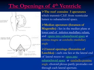 10-cerebellum.ppt