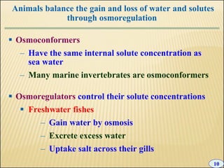 10 +chapter+10+-+excretion | PPT