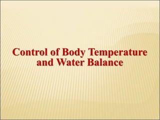 10 +chapter+10+-+excretion | PPT