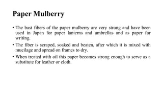 10-c Sugars, starches and cellulose .pptx