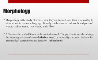 Derivational vs inflectional morphology | PPTX