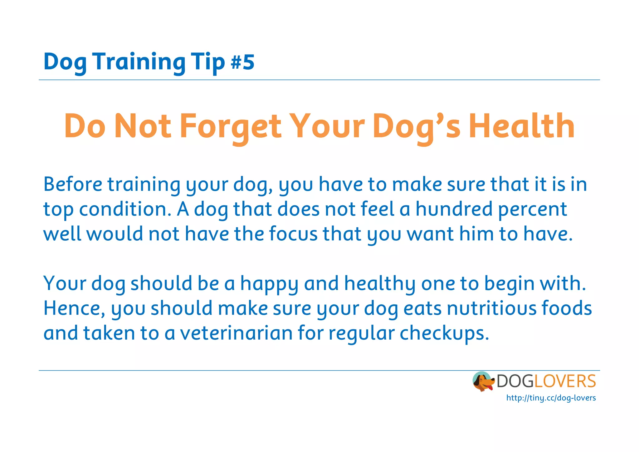 10 Dog Training Tips | PDF