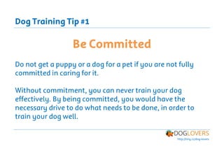 Should You Tip A Dog Trainer