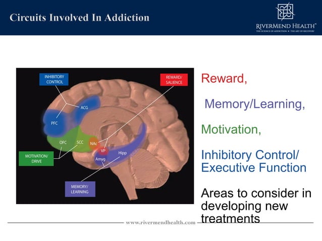Co-Occurring Addiction & Mental Illness | PPT