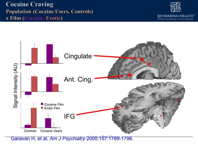 Co-Occurring Addiction & Mental Illness | PPT