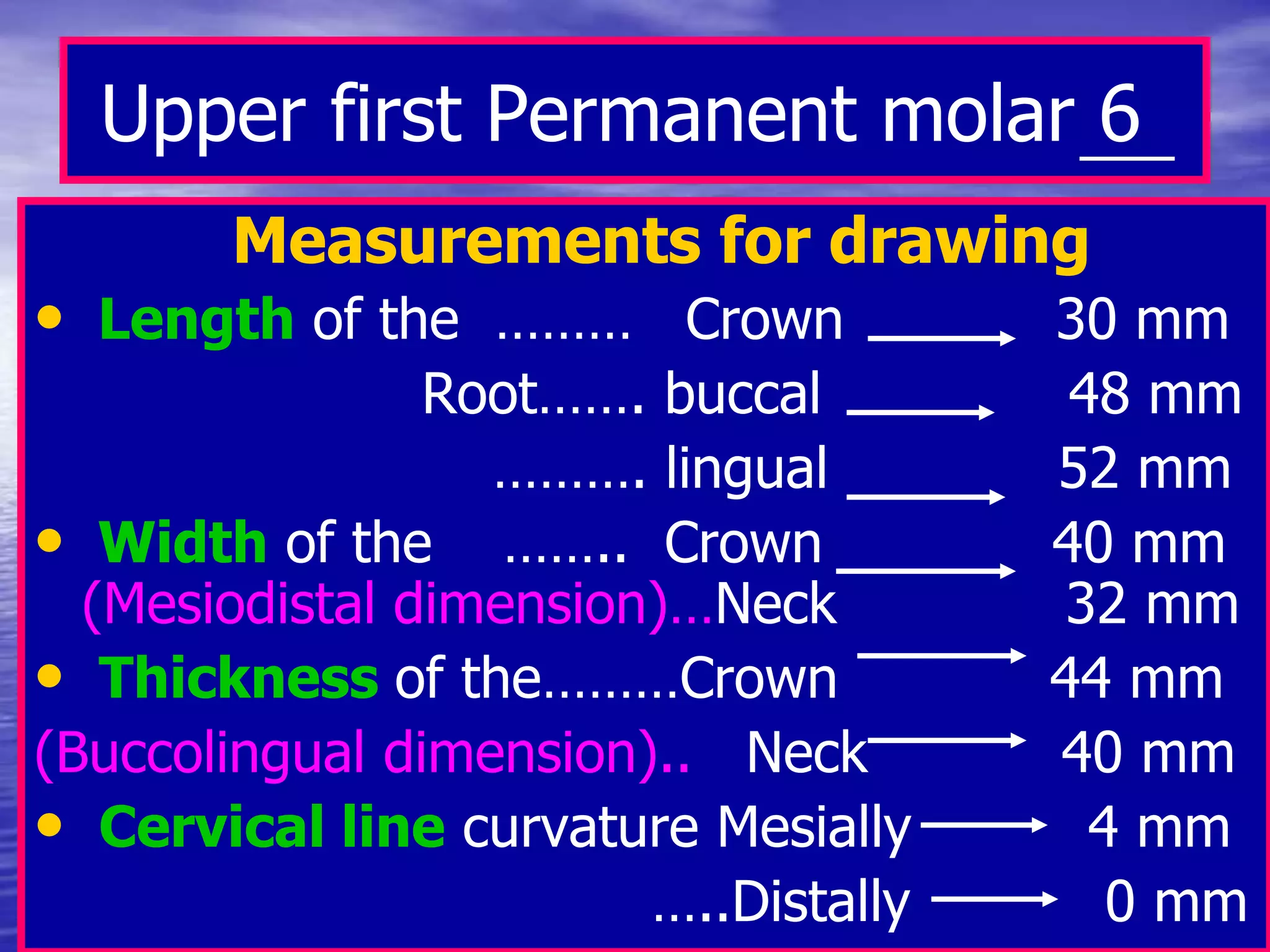 10 drawing of-posterior_teeth_-practical_-_4 | PDF