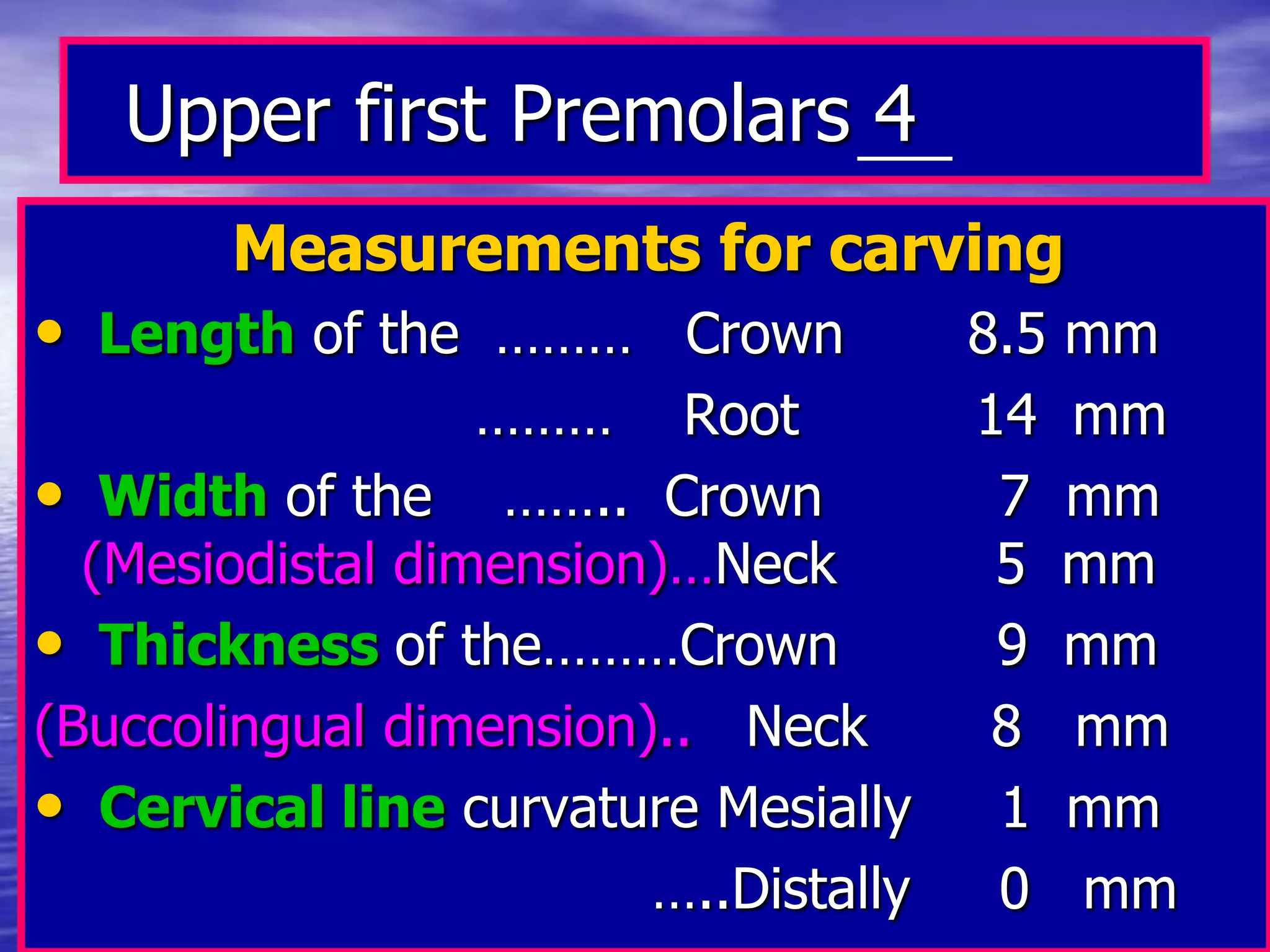 10 drawing of-posterior_teeth_-practical_-_4 | PDF