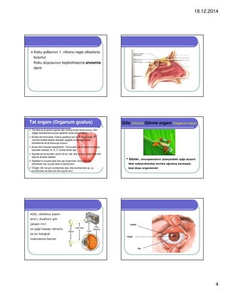 10 duyu-org-shmyo | PDF