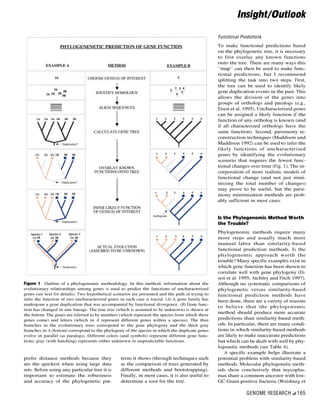 Phylogenomics: Improving Functional Predictions for Uncharacterized Genes by Evolutionary ...