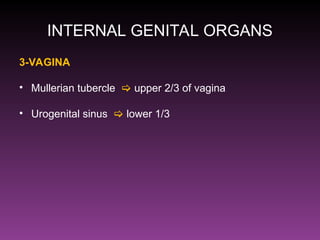 10-EMBRYOLOGY OF THE FEMALE GENITAL ORGANS_November_28_2017.ppt