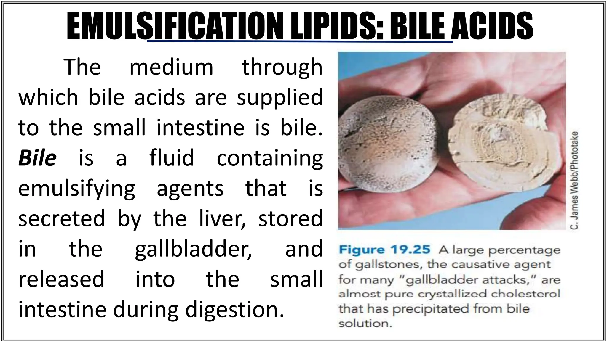 10-Emulsification-Lipids.pptx powerpoint | PPTX