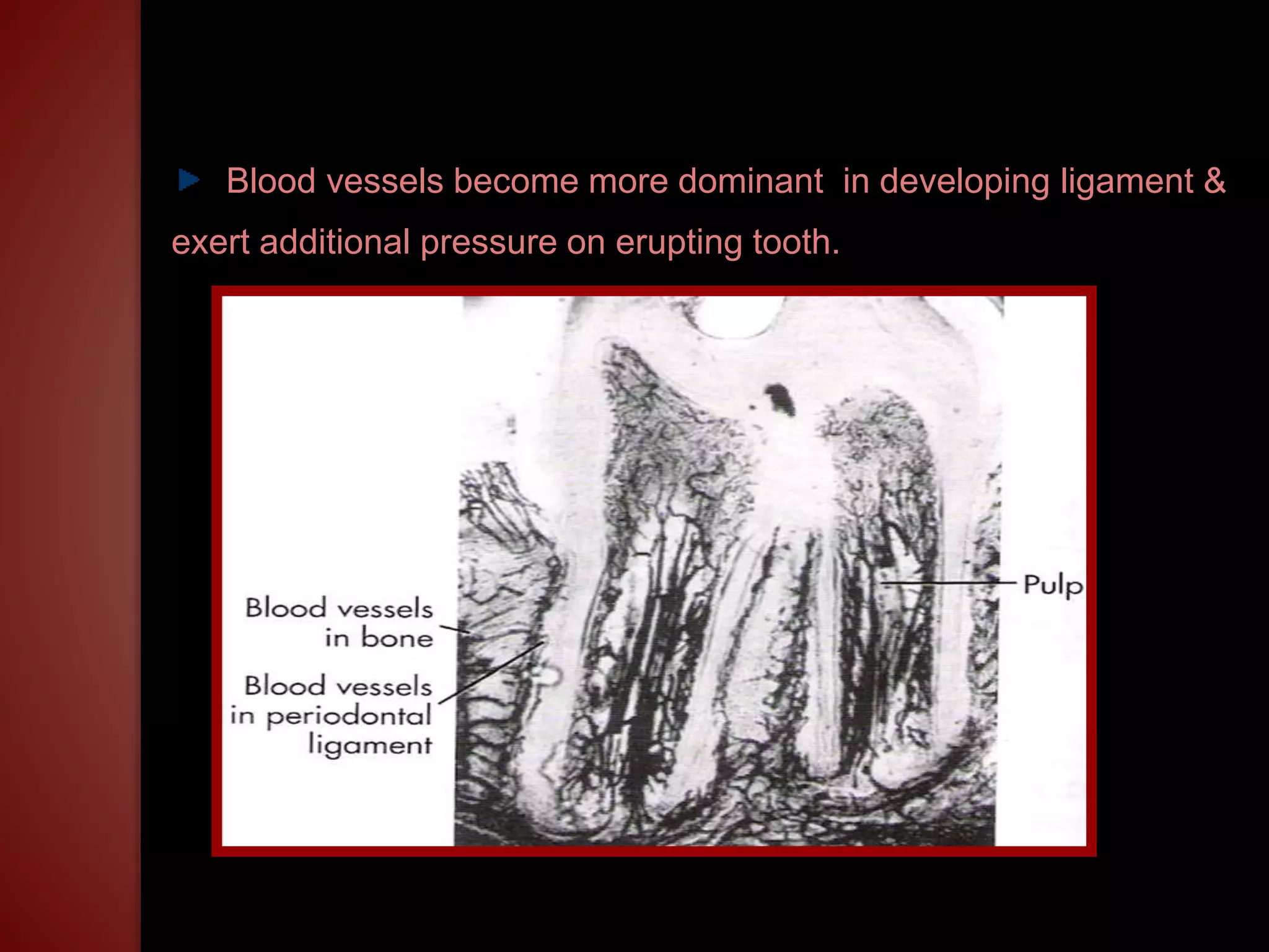Eruption, shedding & teething problems | PPT