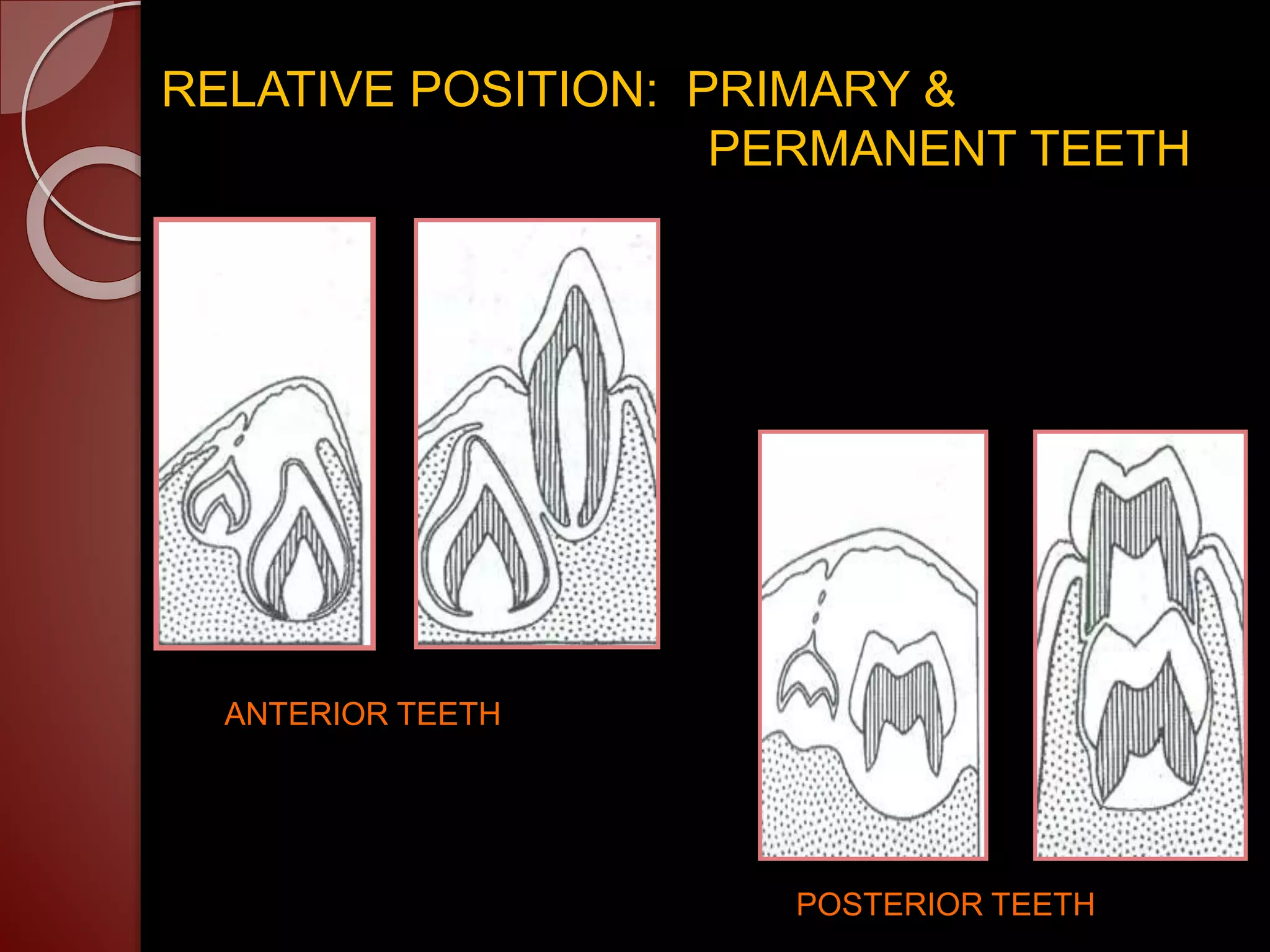Eruption, shedding & teething problems | PPT