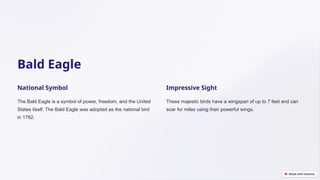 10-Fascinating-Birds-and-Animals animal and birds aingdom | PPT