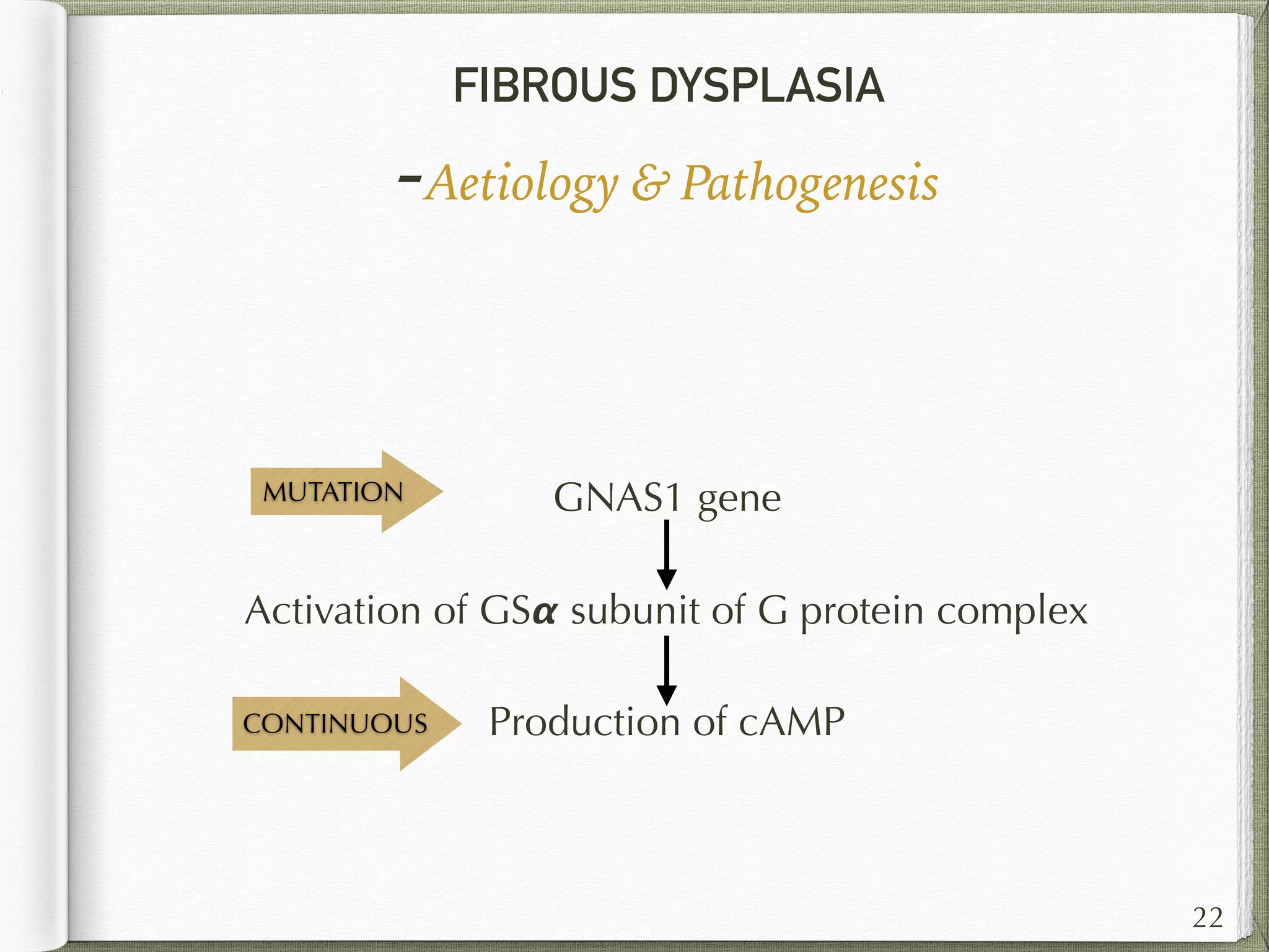 Fibro-osseous Lesions | PDF