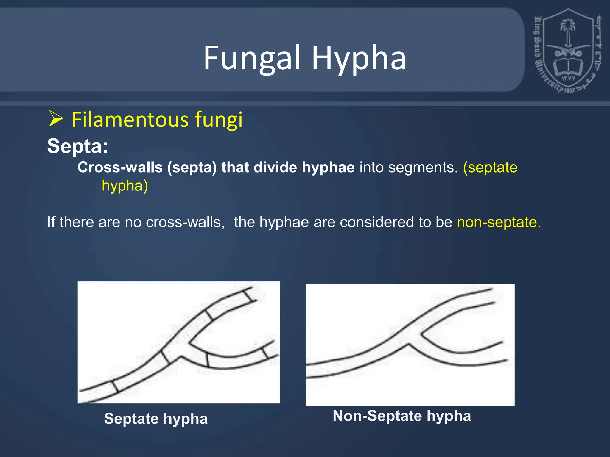 10- Fungi and Their Pathogenesis. ppt | PPT