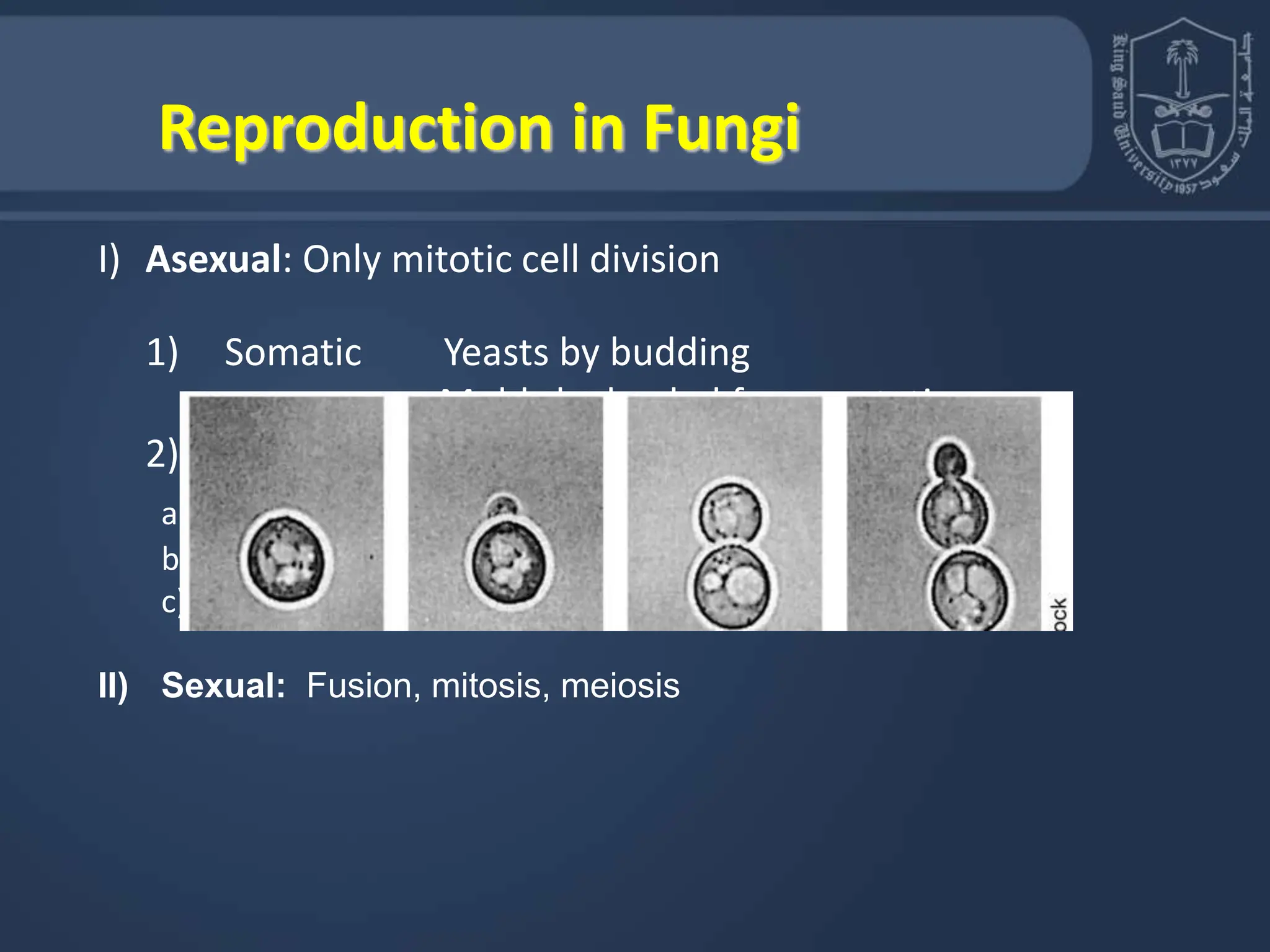 10- Fungi and Their Pathogenesis. ppt | PPT