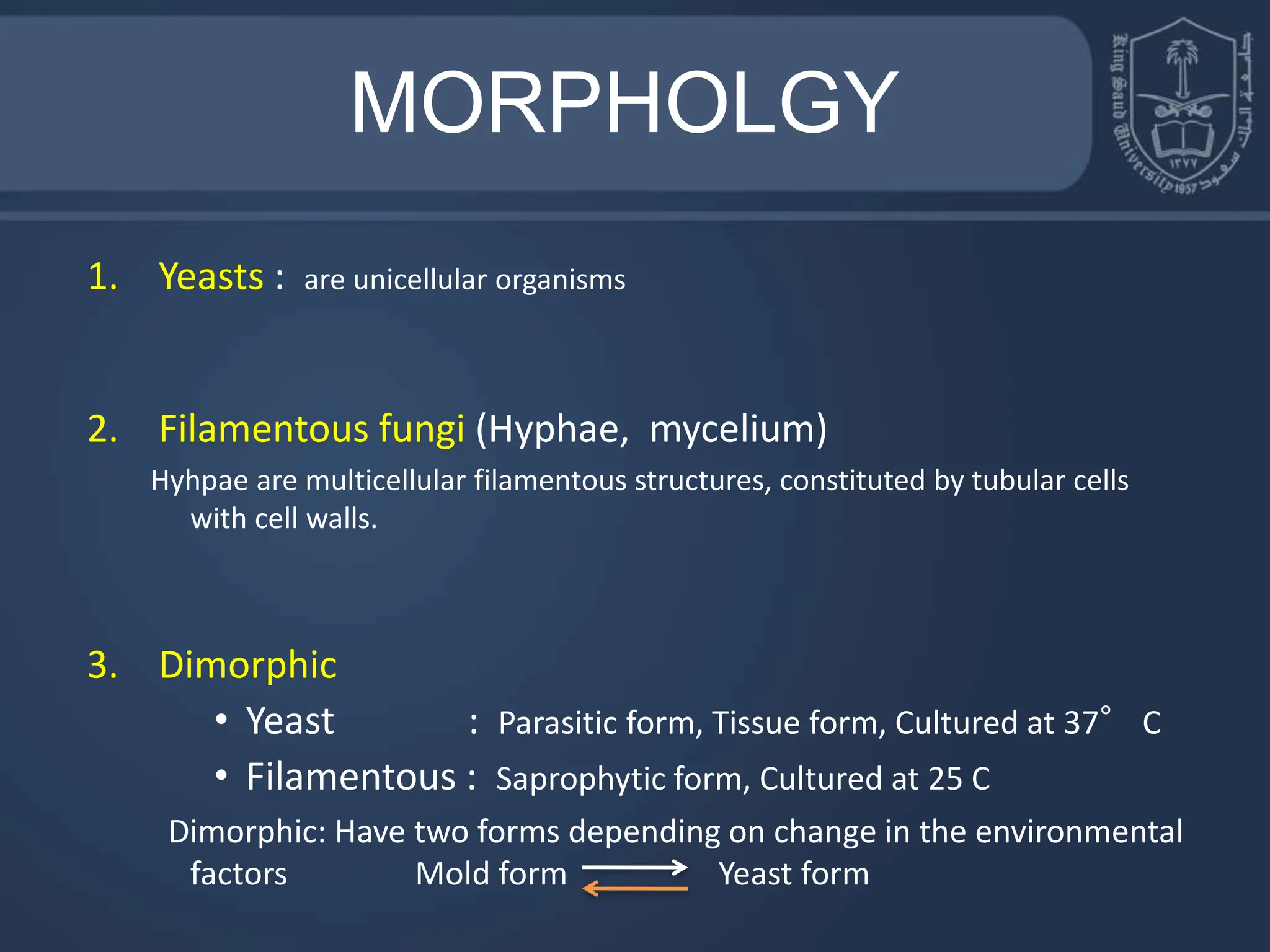 10- Fungi and Their Pathogenesis. ppt | PPT
