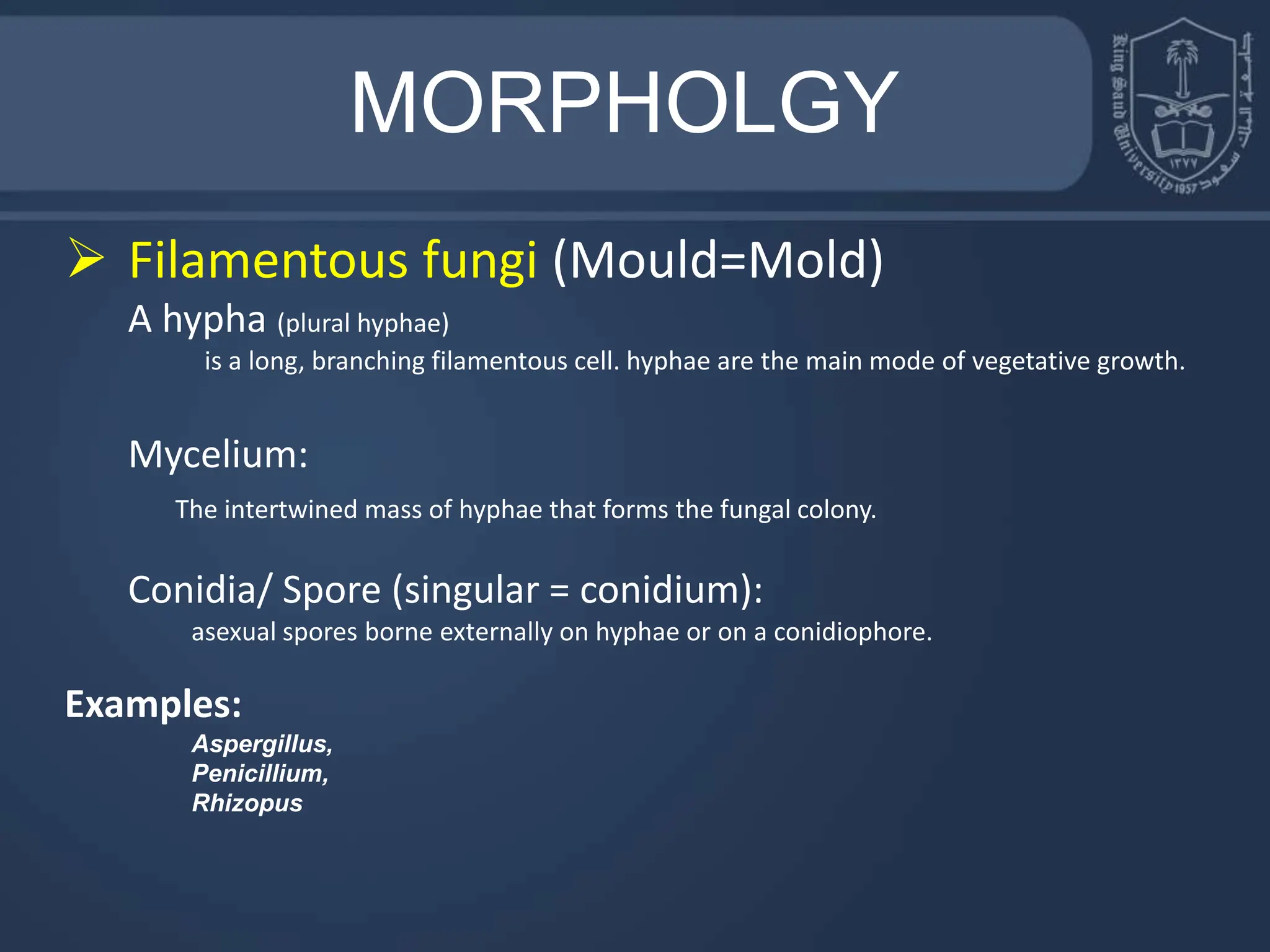 10- Fungi and Their Pathogenesis. ppt | PPT