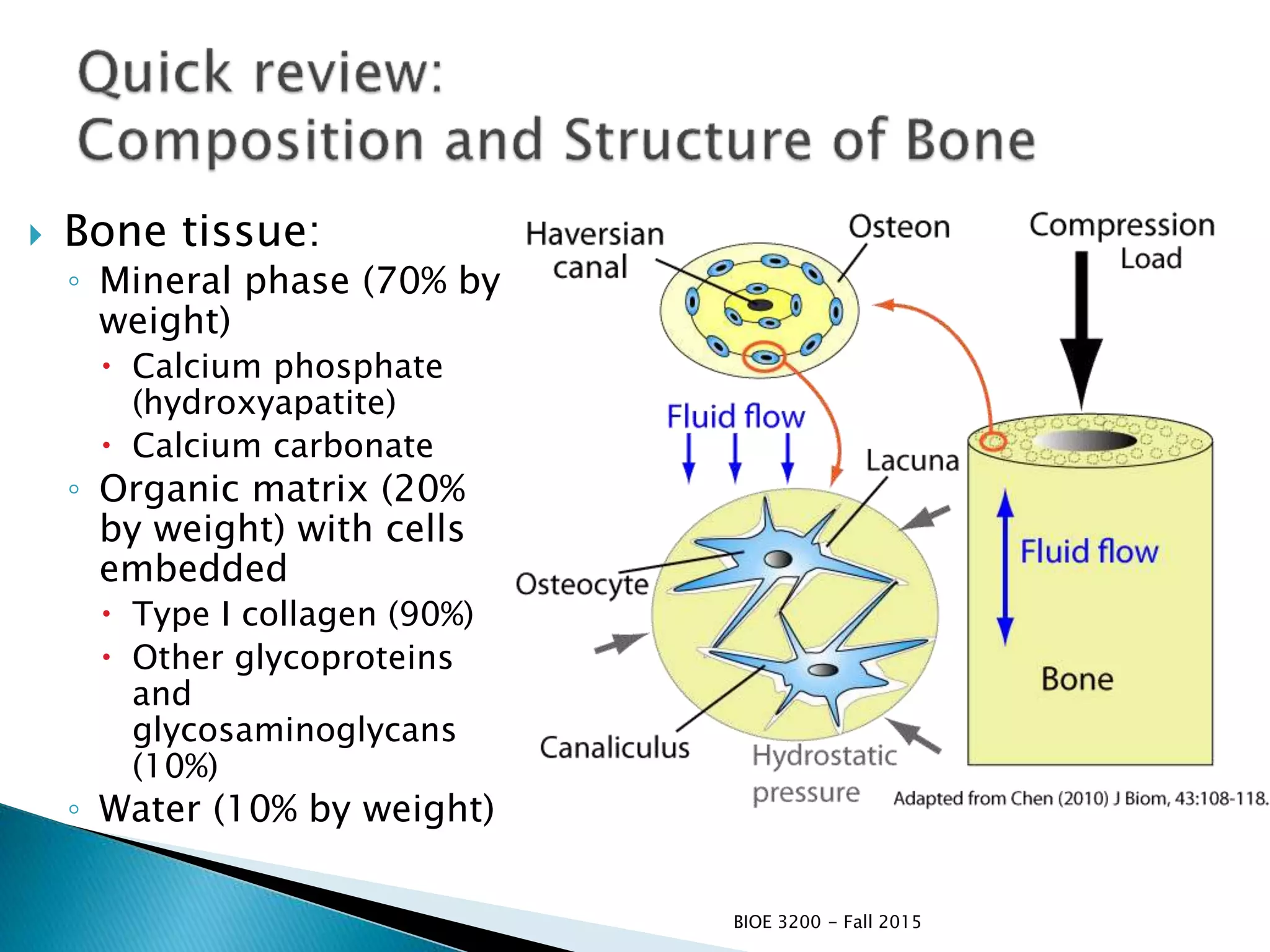 10 hard and soft tissue biomechanics | PPTX