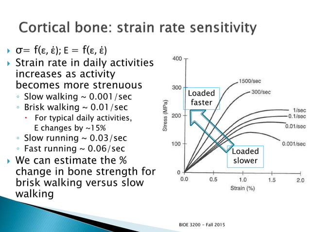 10 hard and soft tissue biomechanics | PPTX