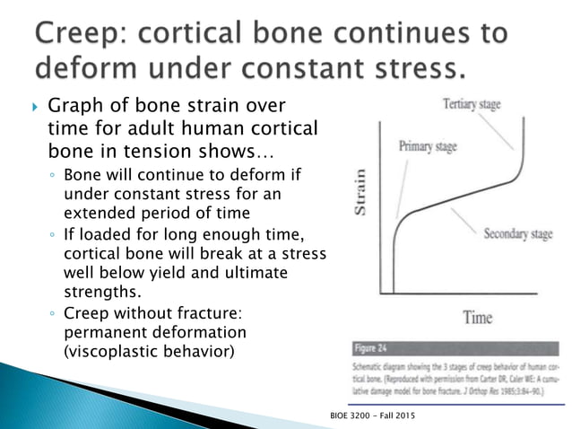 10 hard and soft tissue biomechanics | PPTX