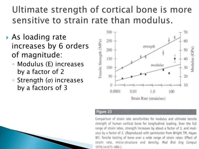 10 hard and soft tissue biomechanics | PPTX