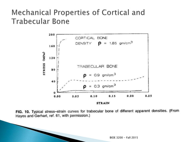 10 hard and soft tissue biomechanics | PPTX