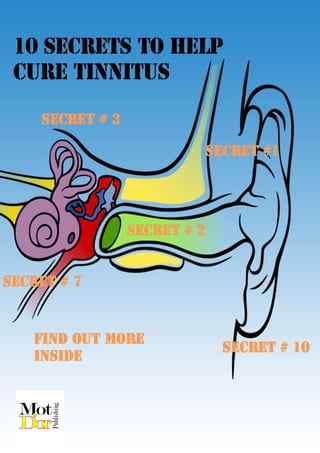 10 Helpful Tinnitus Tips | PDF