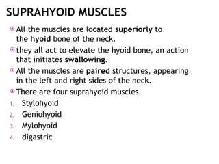 10-Hyoid-bone-Muscles-of-Neck power point presentation | PPTX