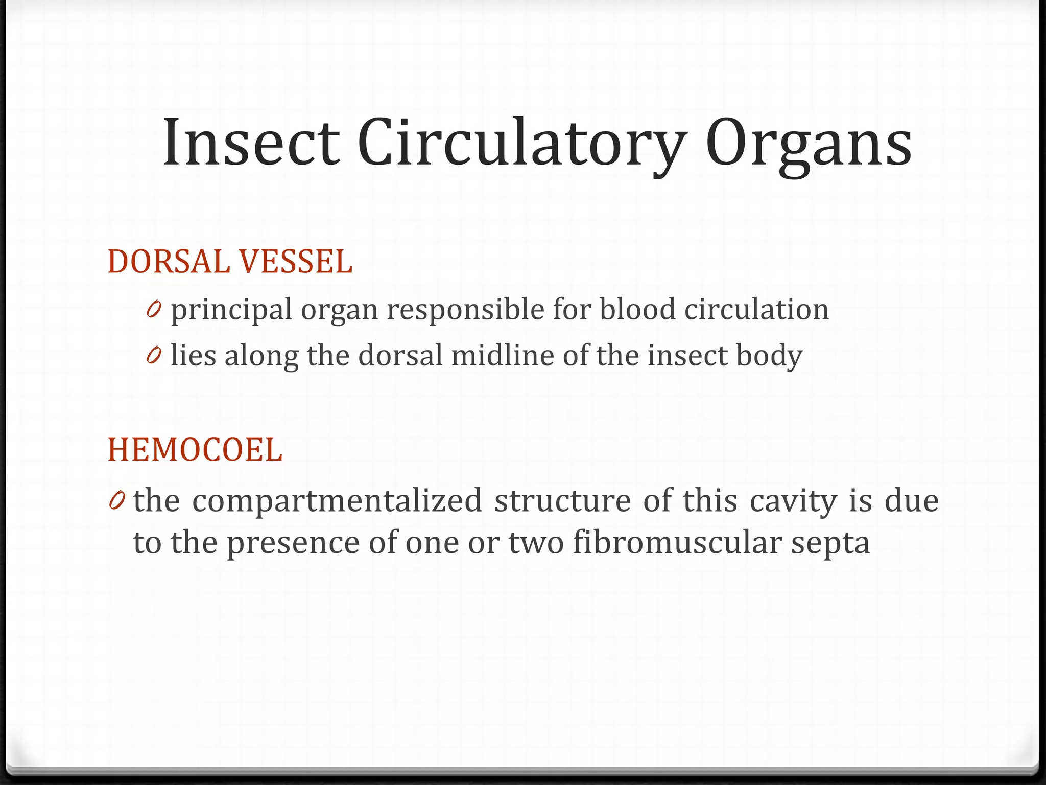 Summary on Insect Circulatory System | PPT