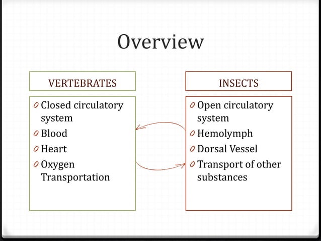 Summary on Insect Circulatory System | PDF