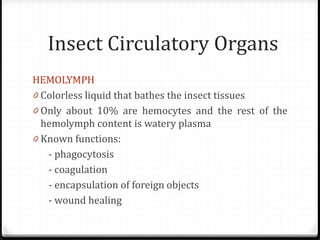Summary on Insect Circulatory System | PDF