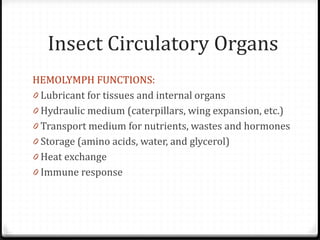 Summary on Insect Circulatory System | PDF