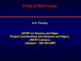 Insect Pests of Sesame( SYSTEMATIC POSITION,HOPST,LIFECYCLE ...