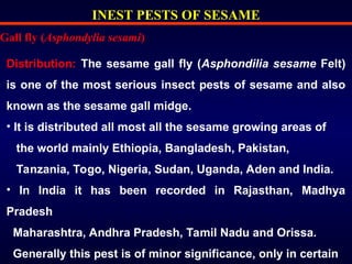 Insect Pests of Sesame( SYSTEMATIC POSITION,HOPST,LIFECYCLE ...