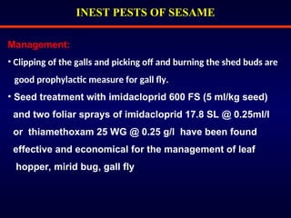 Insect Pests of Sesame( SYSTEMATIC POSITION,HOPST,LIFECYCLE ...