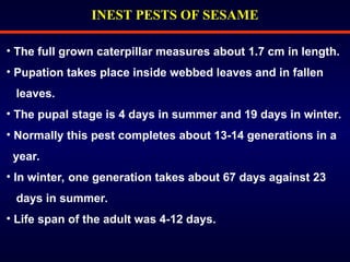 Insect Pests of Sesame( SYSTEMATIC POSITION,HOPST,LIFECYCLE ...