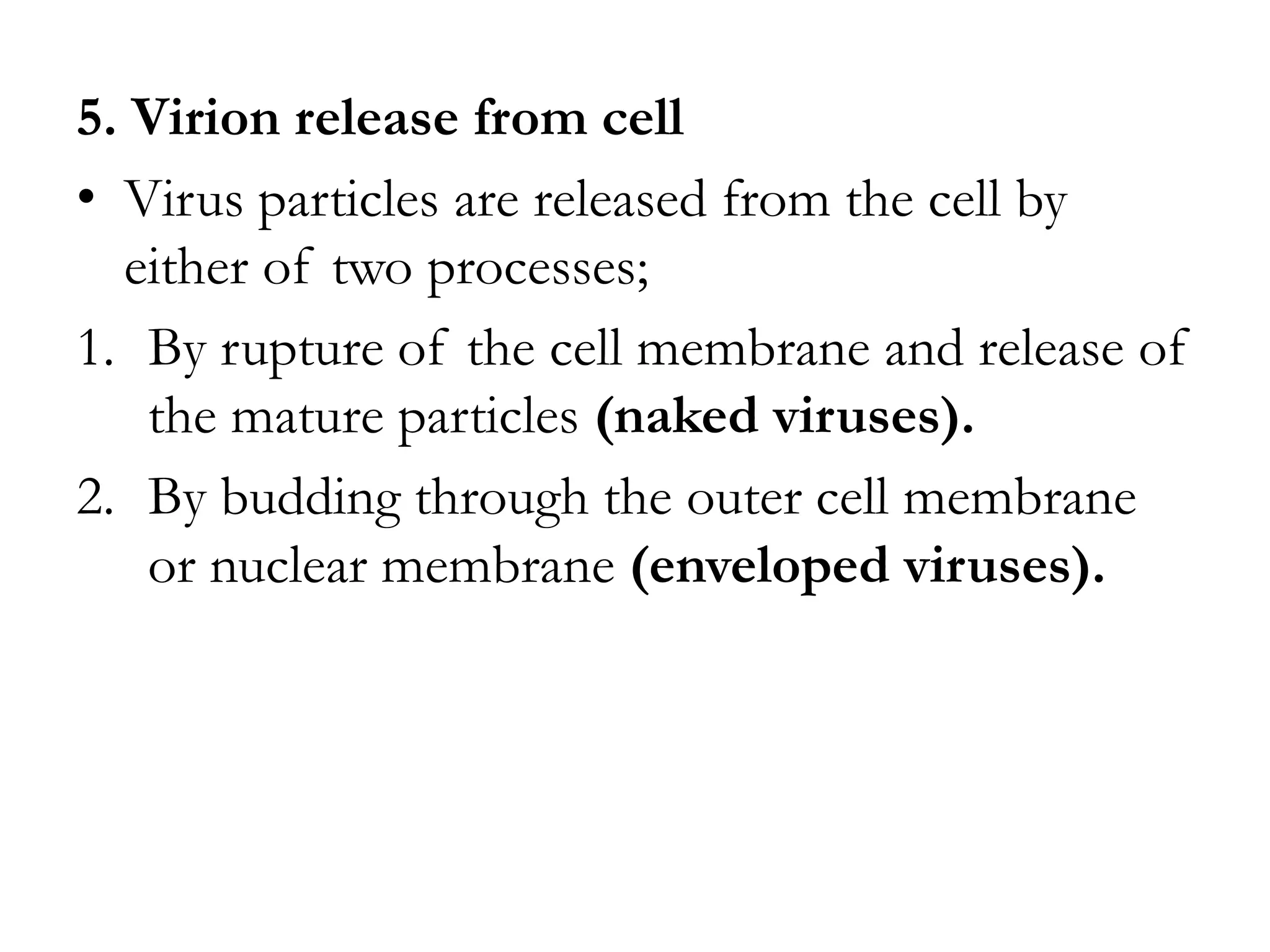 10- Introduction to Viruses Classification, morphology and structure, Replication and ...