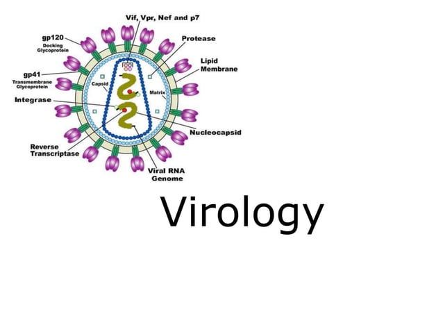 10- Introduction to Viruses Classification, morphology and structure, Replication and ...